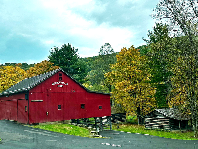 The Beaver Valley Home stands as a crimson sentinel against autumn's golden canvas. History and nature performing their annual duet.