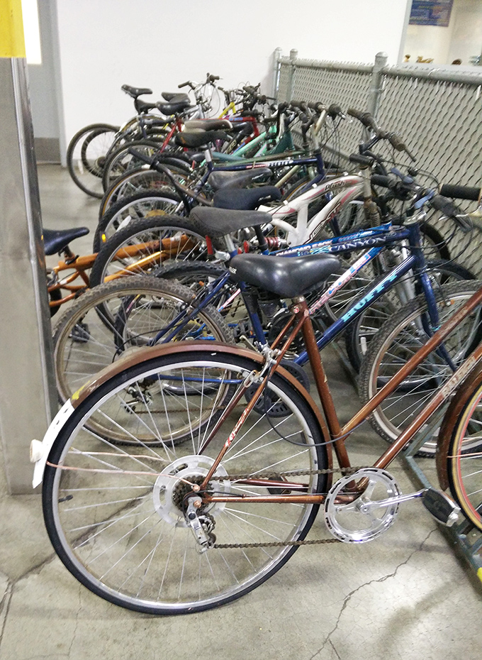 Bicycle bonanza for the two-wheeled enthusiast. That vintage cruiser could be your ticket to Portland's bike-friendly streets for less than dinner out.