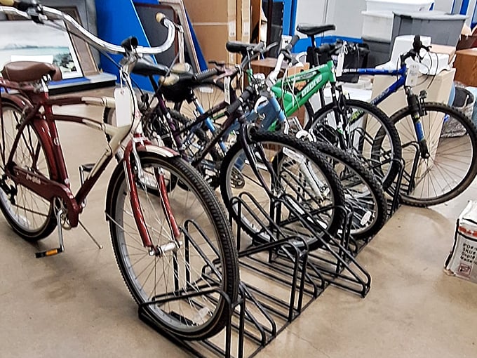 The bicycle brigade stands at attention, ready for new adventures. That vintage cruiser is practically whispering, "Sunday afternoon rides and ice cream stops."