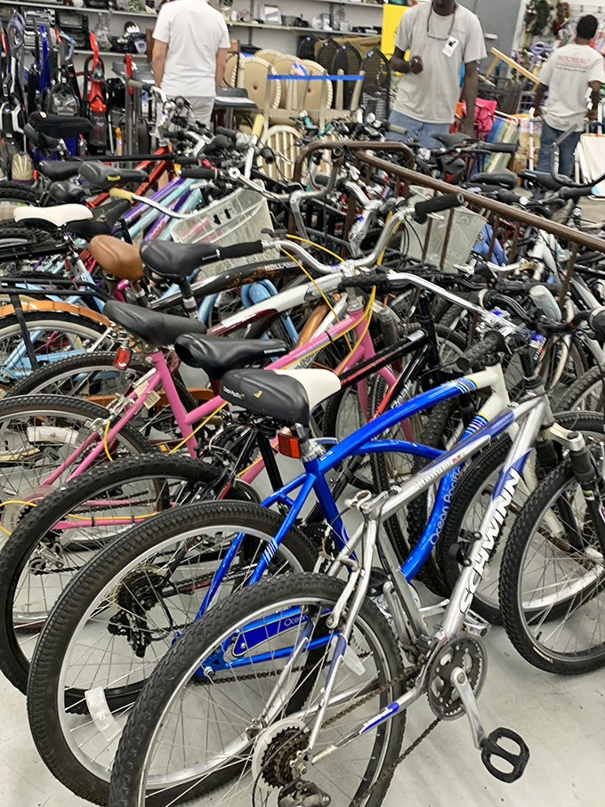 Bicycle heaven for wheel enthusiasts of all ages. From pink princess cruisers to mountain bikes ready for their second adventure.