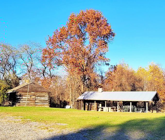 These log cabins aren't just Instagram-worthy backdrops &ndash; they're time machines to Ashtabula's pioneer days, minus the dysentery and dial-up internet speeds.