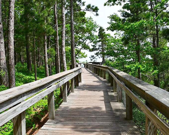 This boardwalk leads to views worth writing home about&mdash;if you can tear yourself away from staring long enough to send a text.