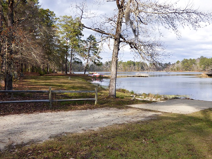 Spanish moss drapes these trees like nature's own decorations. The lake view makes this spot prime real estate for picnickers.