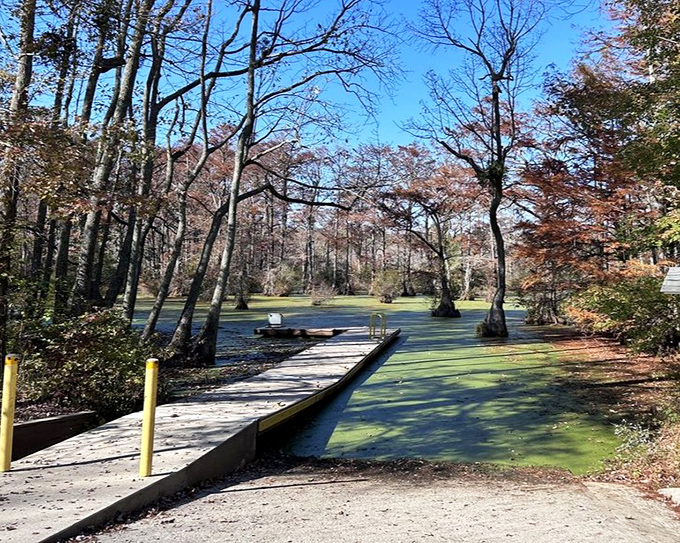 The boat launch beckons adventurers into the green-carpeted waters. Your chariot to tranquility awaits!