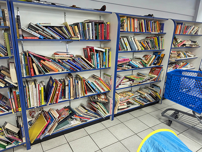 Books, books, and more books! Literary treasures await at prices that make building your home library an affordable adventure rather than a luxury.