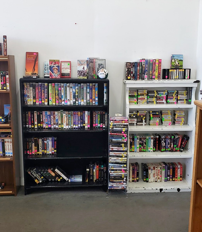 Yesterday's blockbusters and forgotten classics create a nostalgic library where entertainment gets its encore performance.