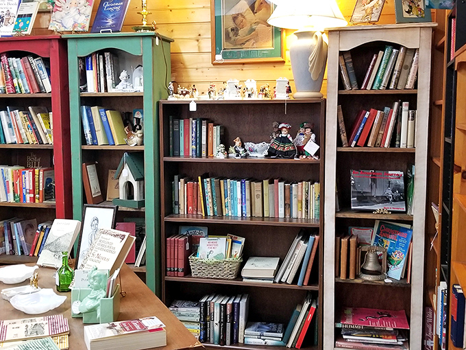 The book section: where literary treasures and childhood memories share shelf space. That colorful collection could keep you occupied for winters to come.
