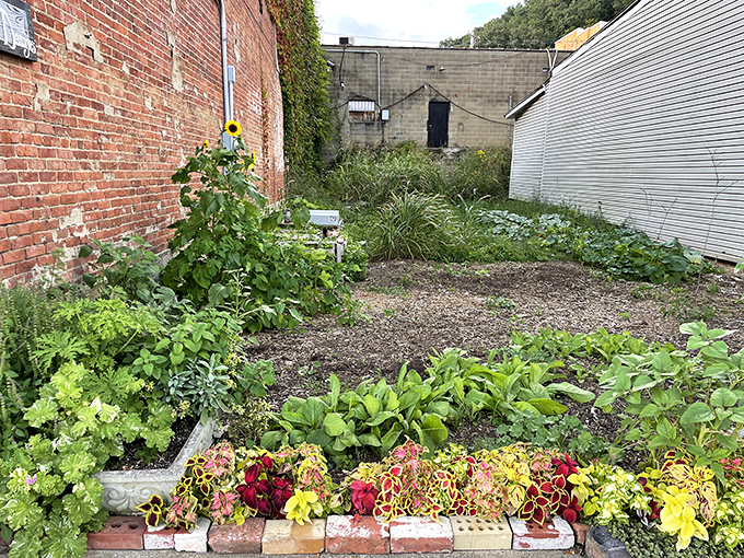 This unassuming garden tucked between buildings is Pomeroy's secret sanctuary. Urban agriculture meets small-town charm in a space that transforms forgotten land into flourishing life.