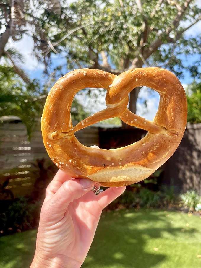 That's not just a pretzel, it's edible architecture with a PhD in making people happy.