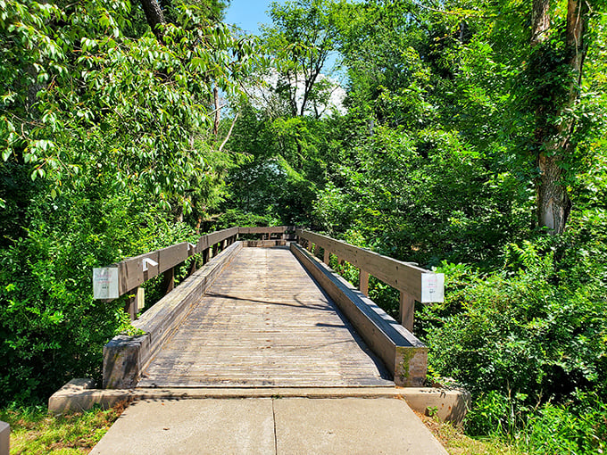 Another bridge, another perspective. The park's wooden walkways feel like nature's version of the yellow brick road.