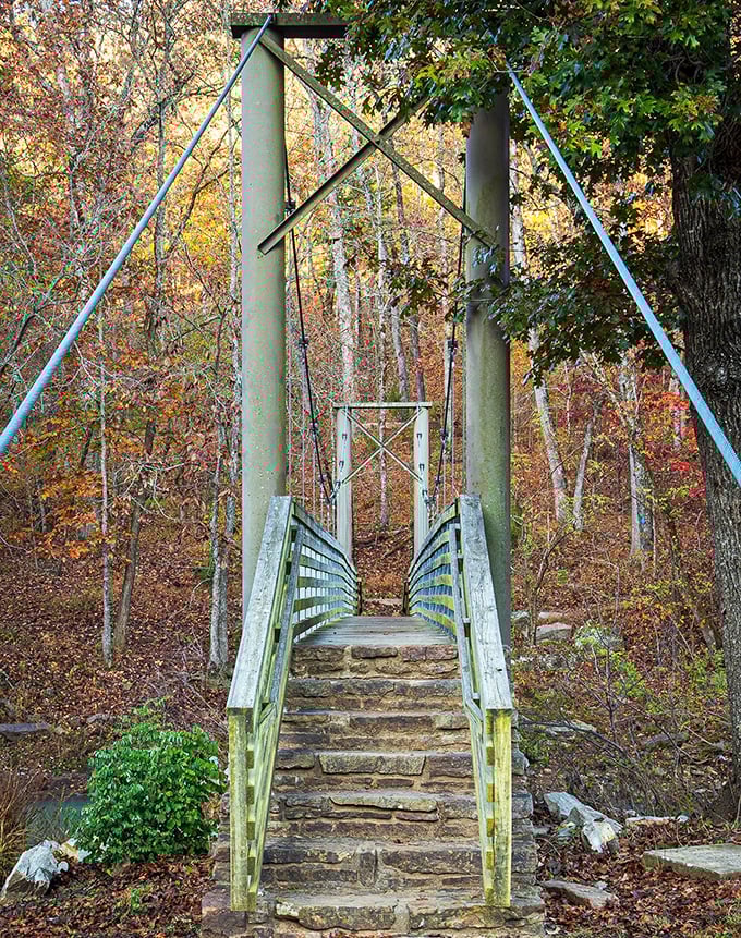 This isn't just any bridge—it's a suspension masterpiece framed by fall's fiery palette, beckoning hikers to cross into autumn wonderland.