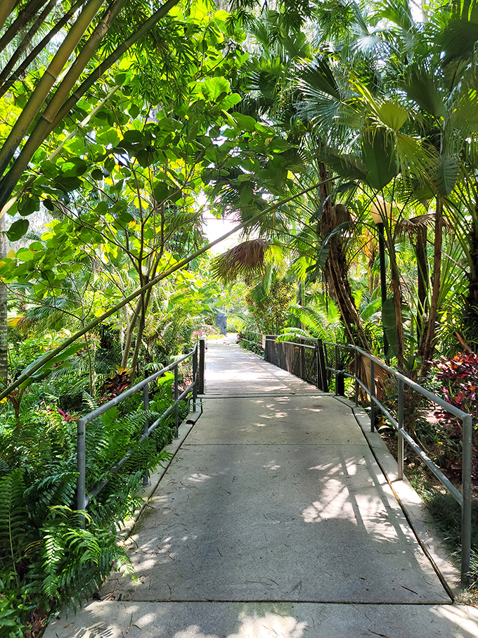 The tropical pathway bridges two worlds of vegetation, like stepping into a National Geographic special without the mosquito bites or lengthy flights.