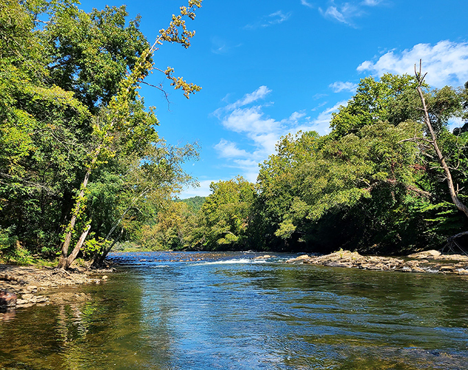 Mother Nature showing off again at Bryson City Island Park, where the water runs clear enough to count the freckles on a trout's back.