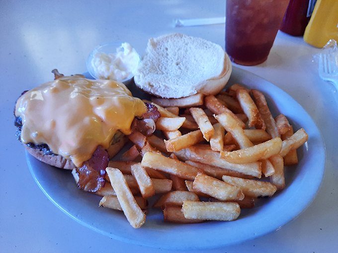 The cheeseburger arrives like a beautiful, melty monument to American ingenuity, with fries standing at attention like golden soldiers.