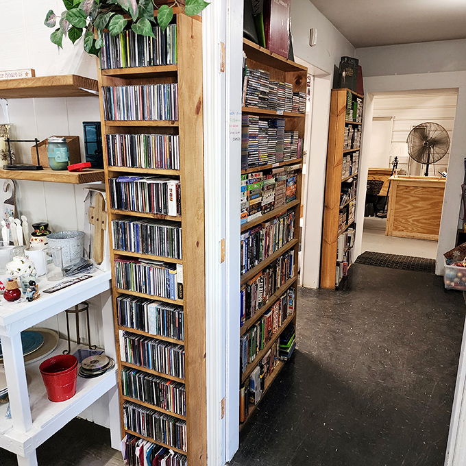 The media section boasts more titles than a streaming service, minus the monthly subscription and "are you still watching?" judgment.