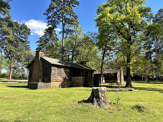 Historic CCC cabins blend seamlessly into the landscape, offering rustic comfort with a side of time travel to simpler days.