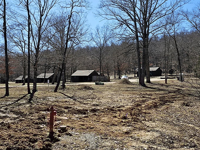 Winter reveals the park's cabin community, where generations of families have gathered to make memories and argue about who has to sleep on the pull-out couch.