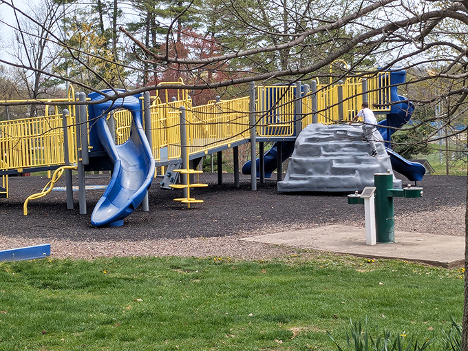 Cambridge City Parks provide the perfect playground for grandkids or your inner child. Those blue slides are calling your name&mdash;don't pretend you didn't hear them!