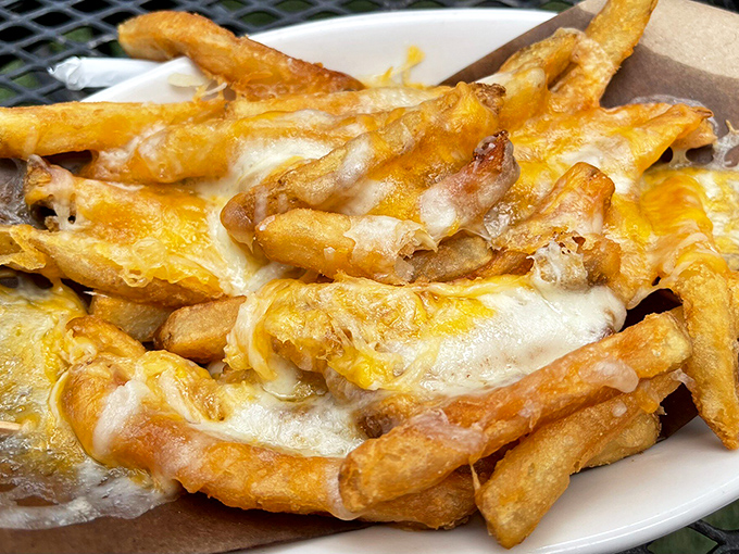 Cheese fries that make you question why you ever bothered with plain ones&mdash;like upgrading from basic cable to premium channels.