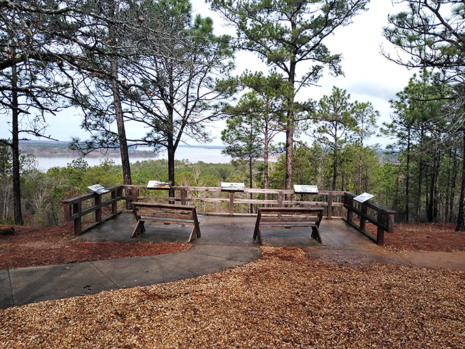 This lakeside lookout offers more meditation per square foot than any expensive wellness retreat. Nature's therapy session comes with a view that outclasses any office window.