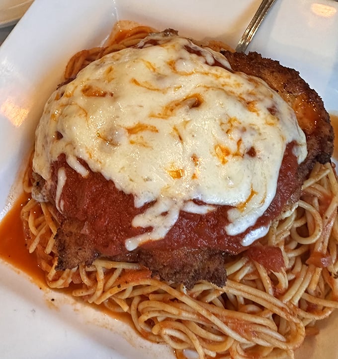 The chicken parmigiana arrives like a delicious meteor &ndash; a golden-crusted chicken breast crater filled with molten cheese and surrounded by a sea of marinara and pasta.