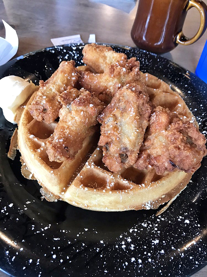 The holy grail: golden waffle meets crispy chicken in a sweet-savory romance that would make Shakespeare write sonnets about breakfast.
