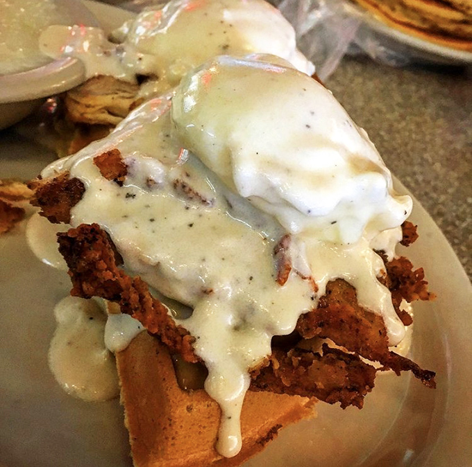 Gravity-defying chicken and waffles smothered in gravy &ndash; where Southern comfort meets breakfast rebellion in delicious harmony.
