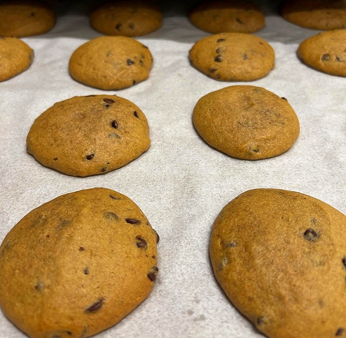 Cookies lined up like edible soldiers, ready to march straight into your heart. Resistance is futile, especially when they're still warm.