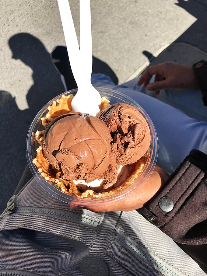 Two scoops of chocolate heaven nestled in a waffle bowl &ndash; proof that sometimes the best mountain views in Gatlinburg are on your spoon.
