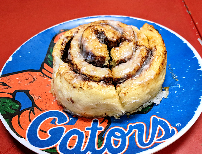 The cinnamon roll that launched a thousand diet cheat days, proudly displayed on a Gators plate&mdash;because in Florida, even pastries pick teams.