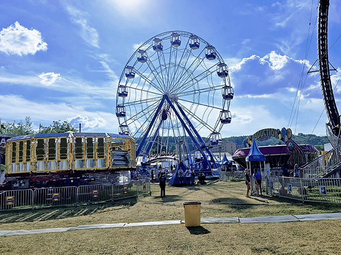The Clearfield County Fair brings affordable thrills that don't require a second mortgage—just a willingness to temporarily abandon your diet for funnel cake.