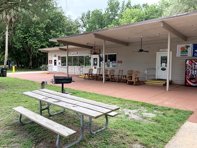 The visitor center and picnic area offer a civilized outpost in wilderness, complete with rocking chairs perfect for contemplating life's big questions.