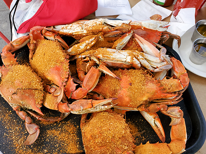 Old Bay-dusted blue crabs in their full glory. Prepare for a delicious battle that requires tools, patience, and absolutely zero concern for shirt stains.