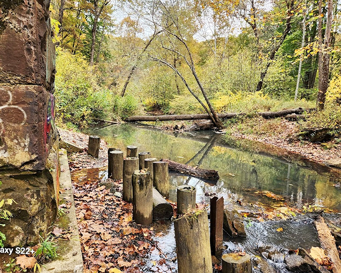 Nature has reclaimed the landscape around Moonville, with wooden posts standing sentinel in waters that reflect the surrounding forest's vibrant greens.