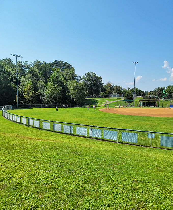 Green fields stretch toward play, where community sports bring folks together under open skies that never charge admission fees.
