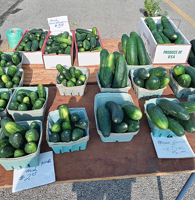 Garden bounty at its finest. These cucumbers didn't travel across continents to reach your salad—they probably grew just down the road.
