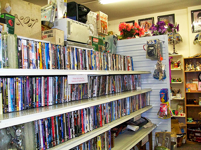 Movie night, anyone? This DVD collection rivals the streaming services&mdash;with the added thrill of physical media nostalgia.