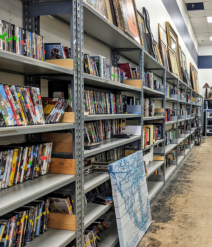 DVD shelves: where forgotten blockbusters and obscure documentaries live together in harmony, waiting for movie night resurrection.
