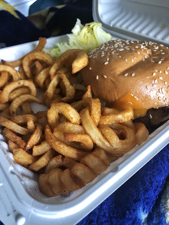 The classic cheeseburger and curly fries combo&mdash;where sesame seeds meet melted cheese in a dance as old as diners themselves. Simple pleasures, perfectly executed.