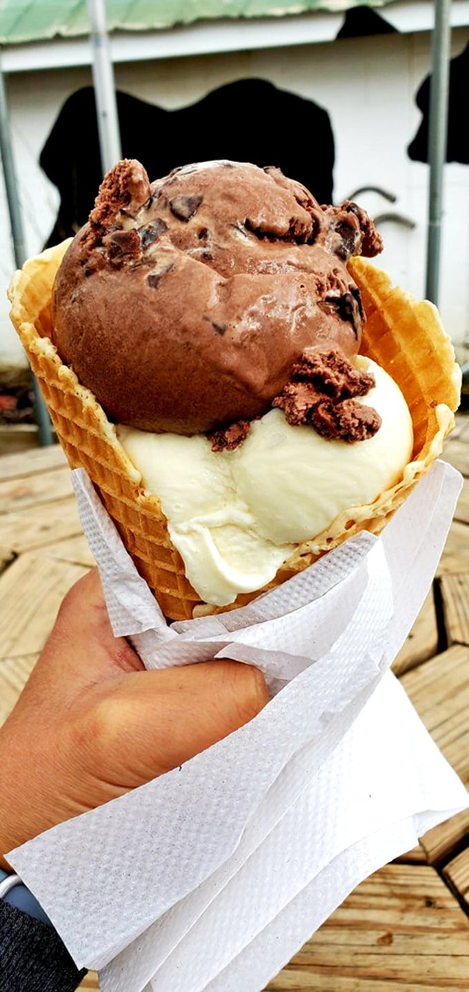 The perfect marriage of chocolate and vanilla in a freshly-made waffle cone – proof that some relationships are simply meant to be.