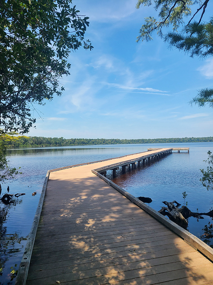 This wooden pier doesn't just lead into the lake&mdash;it leads into your next moment of zen. Walking these planks is the opposite of punishment. 