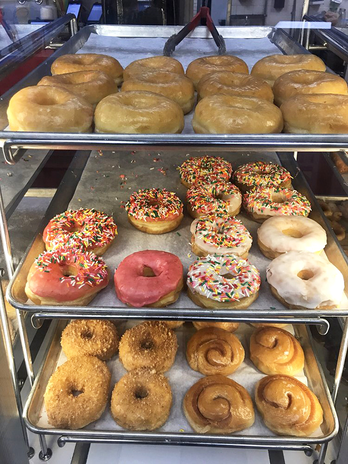 Donut display cases: where willpower goes to die and breakfast dreams are born three shelves at a time.