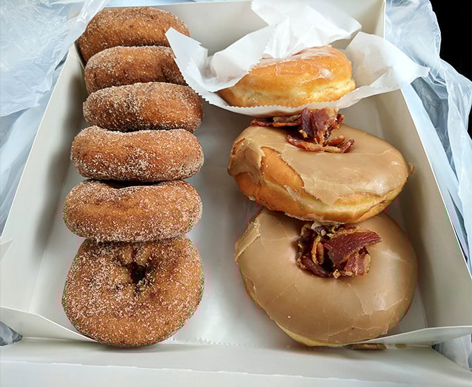 Donut diplomacy at its finest—cinnamon sugar on the left, maple bacon on the right. These aren't just breakfast, they're peace treaties for morning grumpiness.