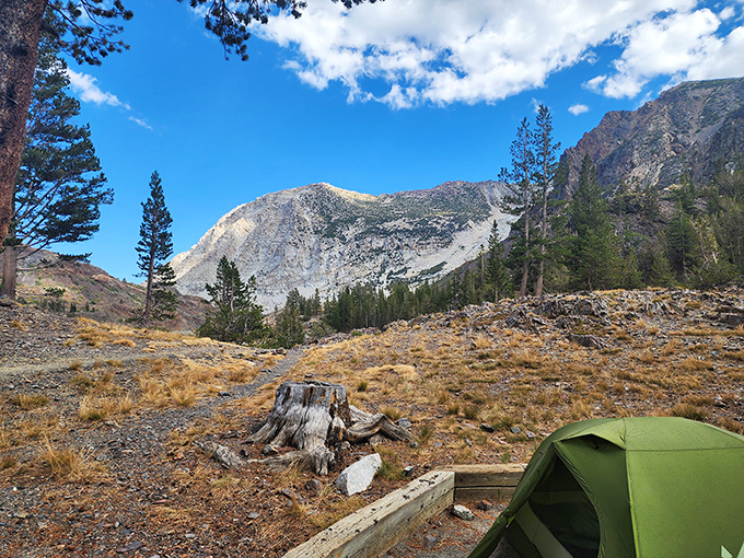 Paradise found: where pine-scented wilderness meets azure skies and your camping chair becomes the best seat in California.