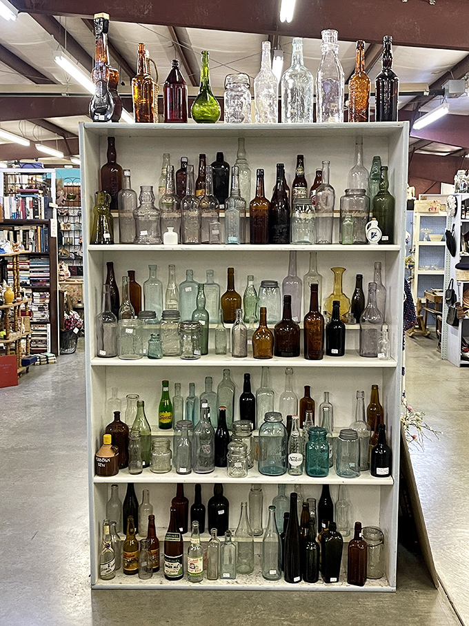 The bottle collection – a rainbow of vintage glass catching the light. From medicine to moonshine, each vessel once held something deemed essential to daily life.