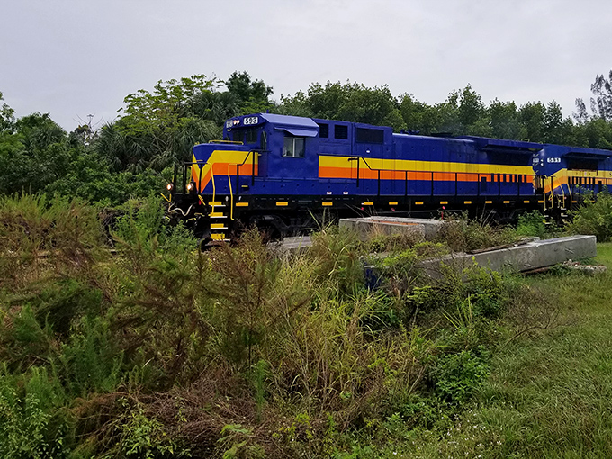 The distinctive locomotive commands attention with its bold color scheme. Like a well-dressed dinner host, it makes quite the first impression. 