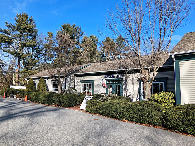 Antique hunting in Old Saybrook: where "vintage" means genuinely old, not just overpriced and distressed by a college student with a belt sander.