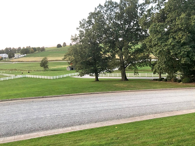 White fences frame emerald pastures like nature's version of gallery art. This isn't landscaping&mdash;it's generations of stewardship painted across the hillsides.