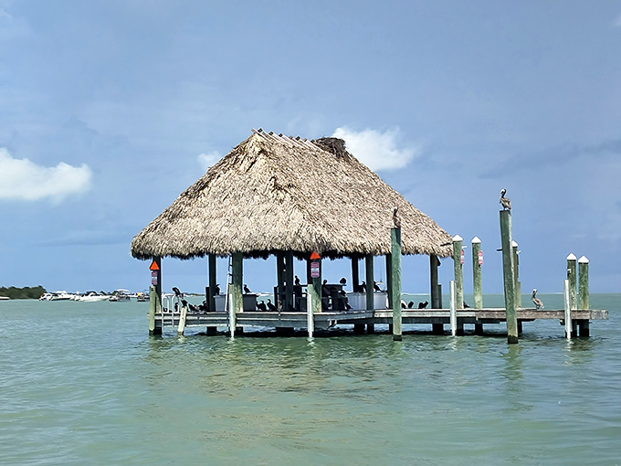Tiki hut meets dock meets paradise. This floating shelter offers shade and serenity in equal measure for boaters taking a break.