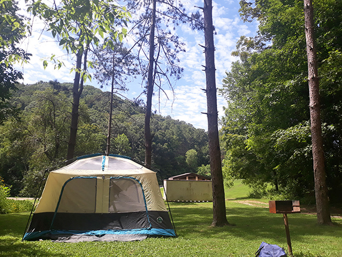 Camping at Tar Hollow: where your backyard temporarily includes 16,000 acres of woodland and a soundtrack of whispering pines.